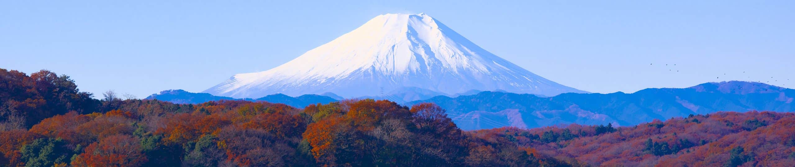 Campervan Travel Blog Japan -Drive rental RV from Tokyo/Narita