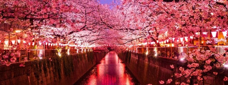 Seasonal Places to Visit : Spring and Summer roadtrip in Japan