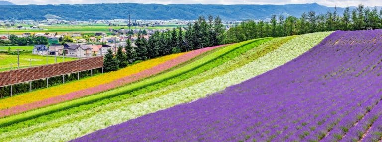 Great Places to Visit in Summer in Japan
