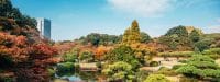 Enchanting Autumn Beauty: Discover Japan's Top 10 Fall Foliage Destinations
