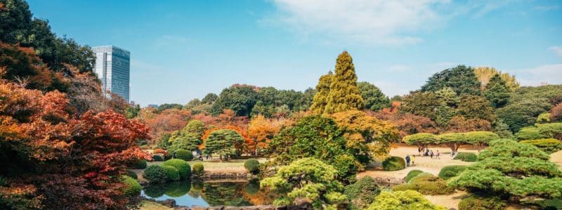Enchanting Autumn Beauty: Discover Japan's Top 10 Fall Foliage Destinations