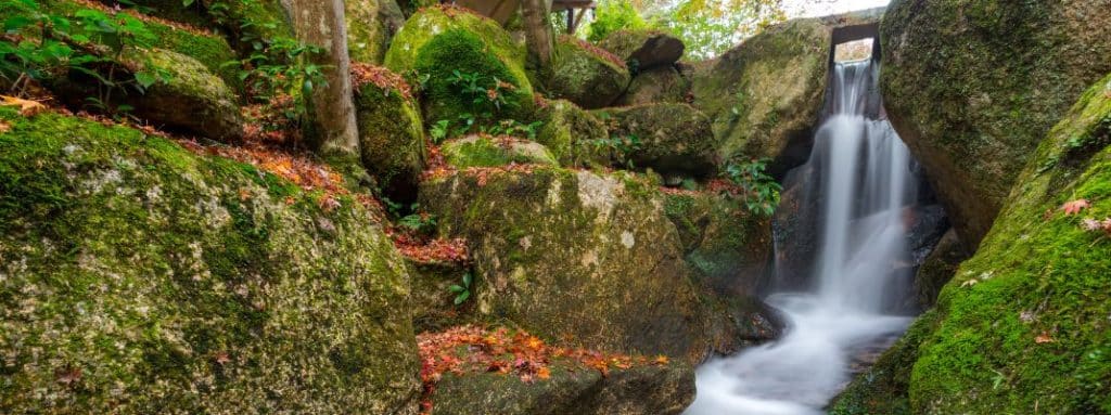 Enchanting Autumn Beauty: Discover Japan's Top 10 Fall Foliage Destinations